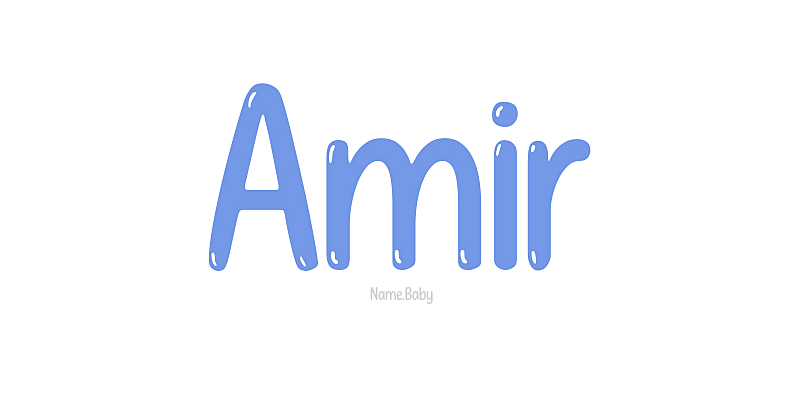 Amir - Name Meaning and Popularity