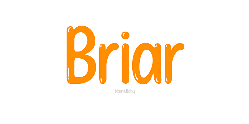 Briar - Name Meaning and Popularity
