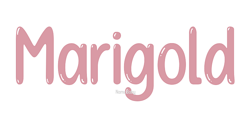 Marigold - Name Meaning and Popularity