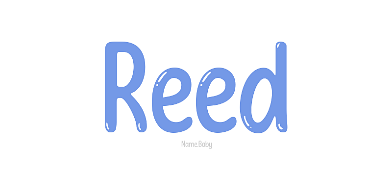 Reed - Name Meaning and Popularity