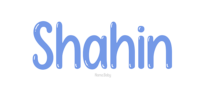 Shahin - Name Meaning and Popularity