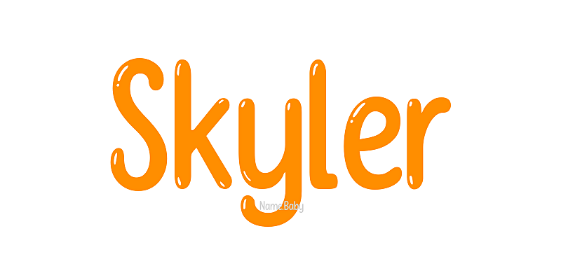 Skyler - Name Meaning and Popularity