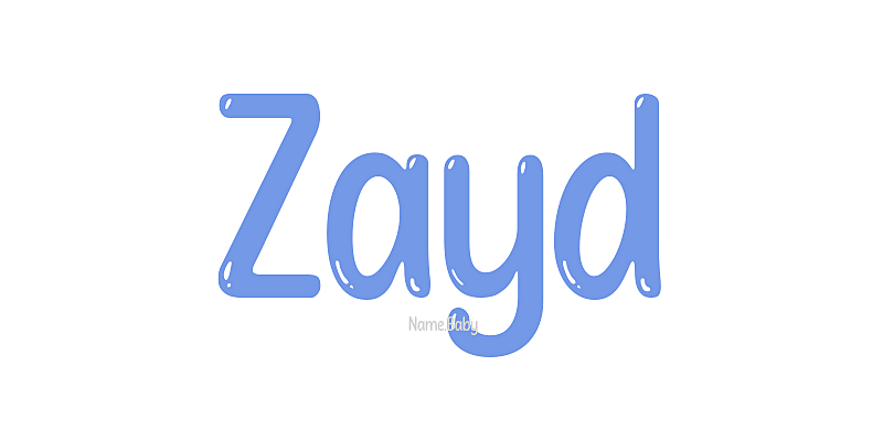 Zayd - Name Meaning and Popularity