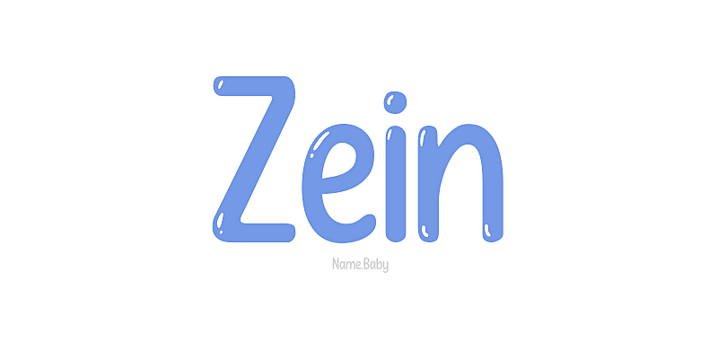 Zein - Name Meaning and Popularity